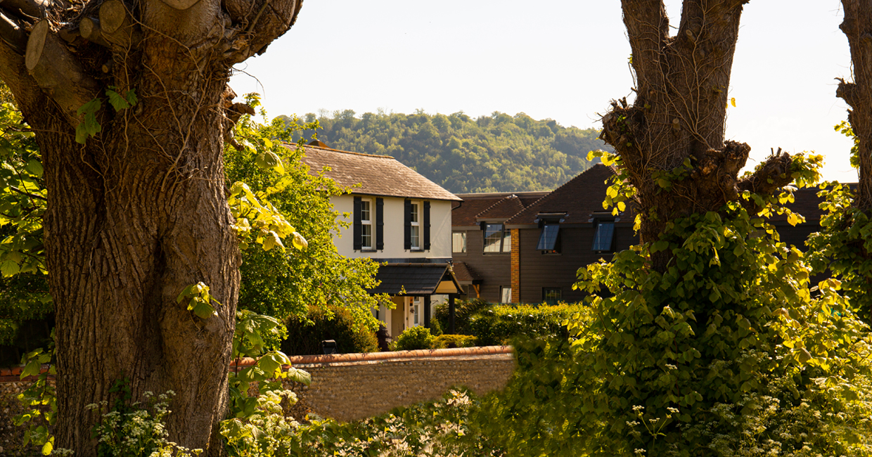 Carbon neutral vineyard hotel to open at Denbies Wine Estate ...