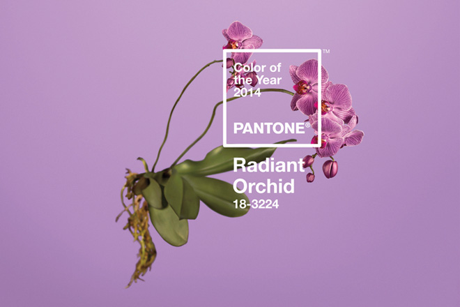 Pantone unveils its Colour of the Year for 2014 | Hospitality Interiors Pantone unveils its Colour of the Year for 2014 | Hospitality Interiors
