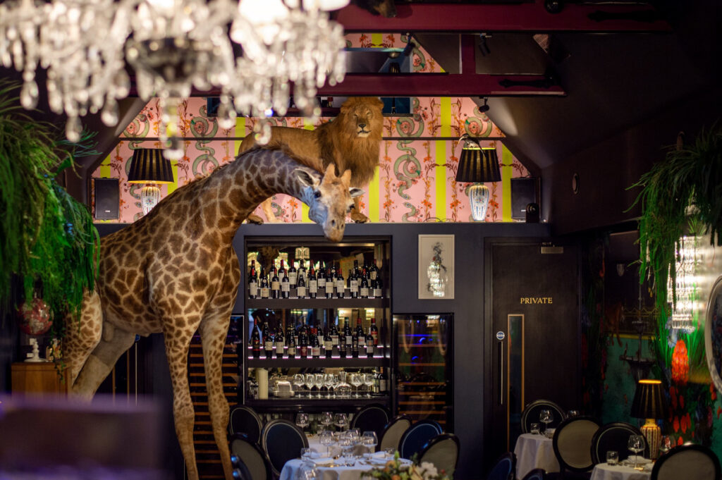 Hux launches onto London’s restaurant and music lounge scene ...